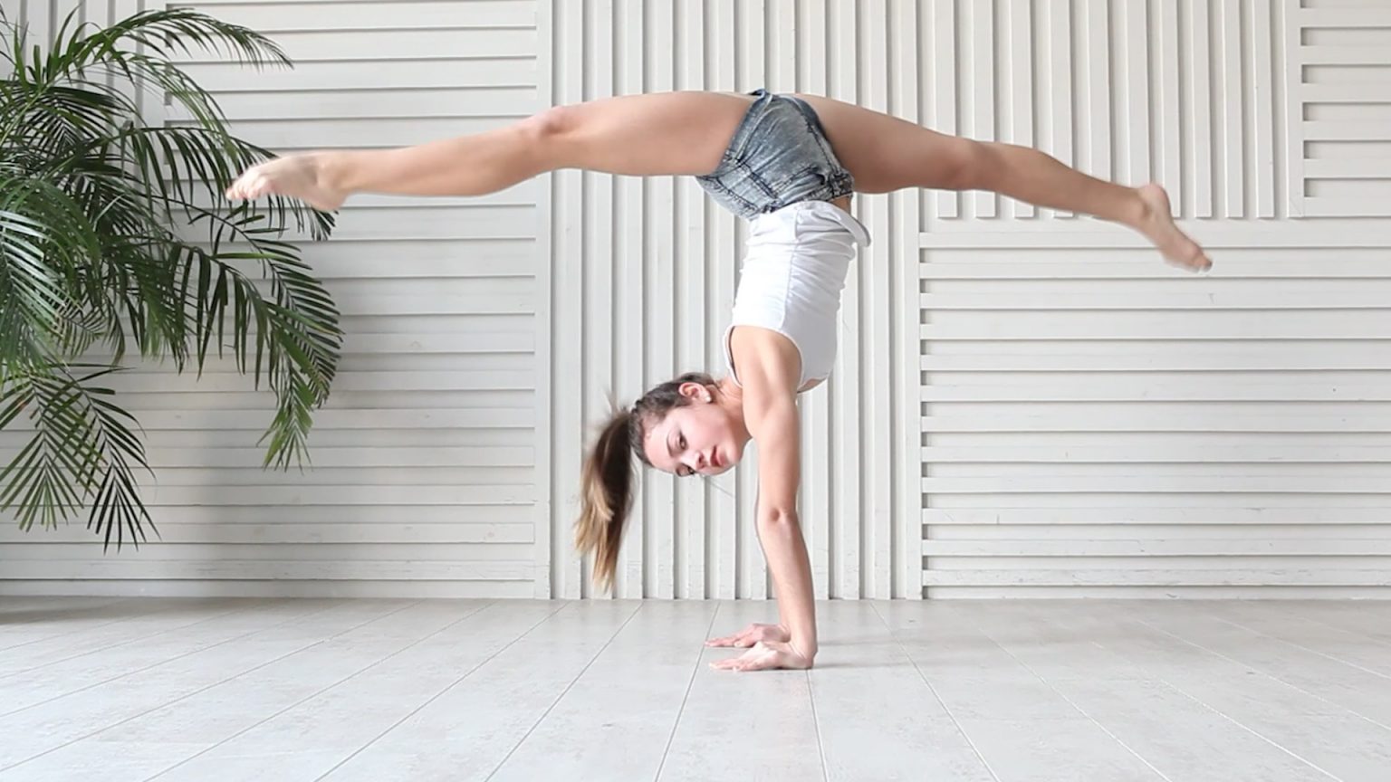 Flex Mania with Flexibility Legs - Make Your Day Better